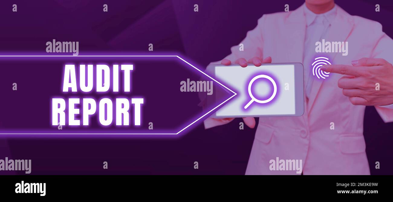 Conceptual caption Audit Report. Business overview An appraisal of ...
