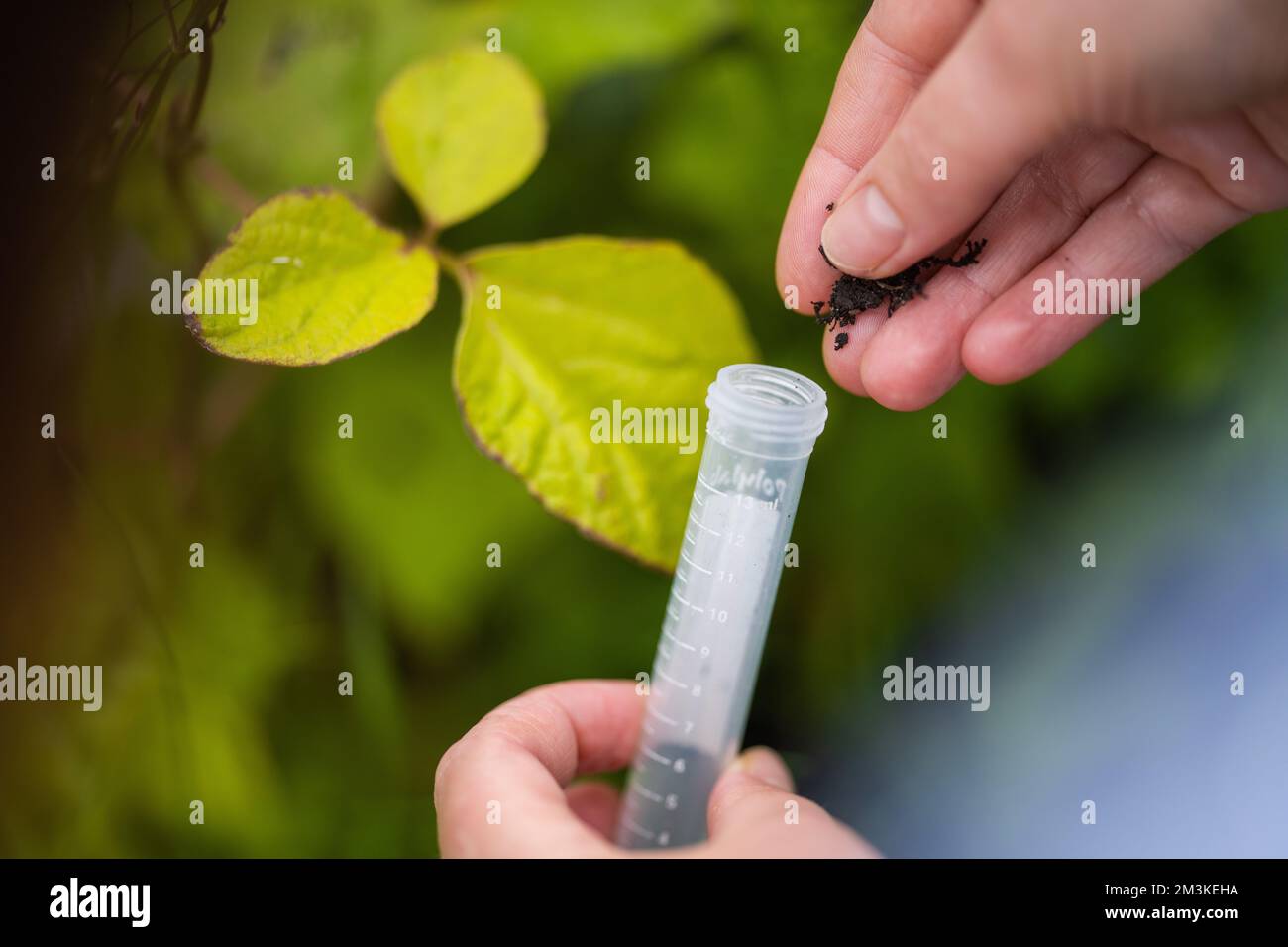 Soil research africa hi-res stock photography and images - Alamy