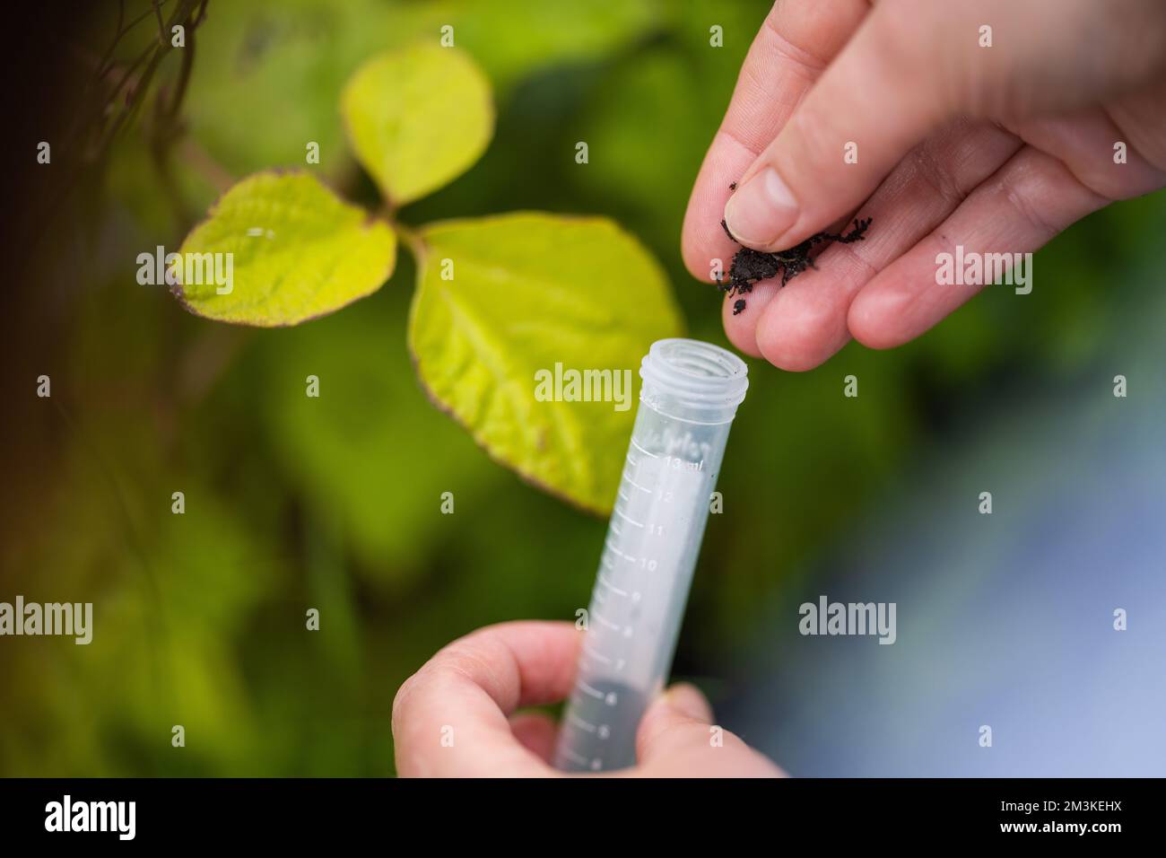 Australian crop research hi-res stock photography and images - Alamy