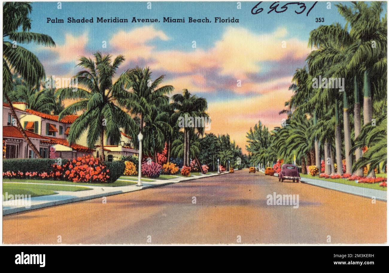 Palm shaded meridian avenue, Miami Beach, Florida , Houses, Tichnor ...