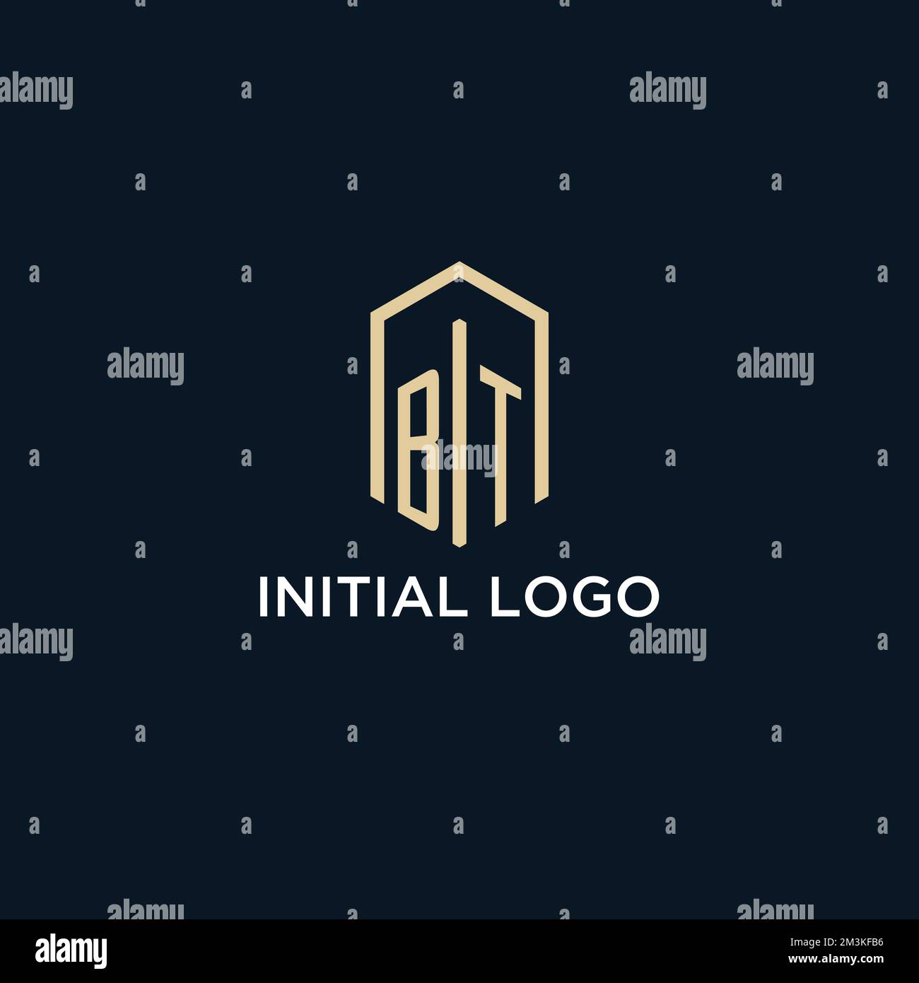 BT initial monogram logo with hexagonal shape style, real estate logo ...
