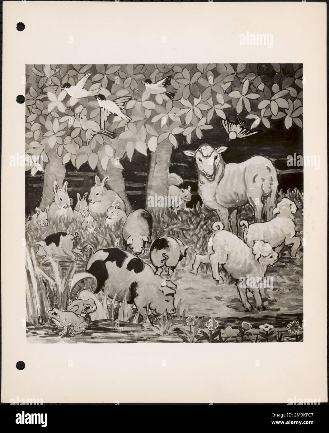 Panel of domestic animals , Swine, Frogs, Sheep, Rabbits. The ...
