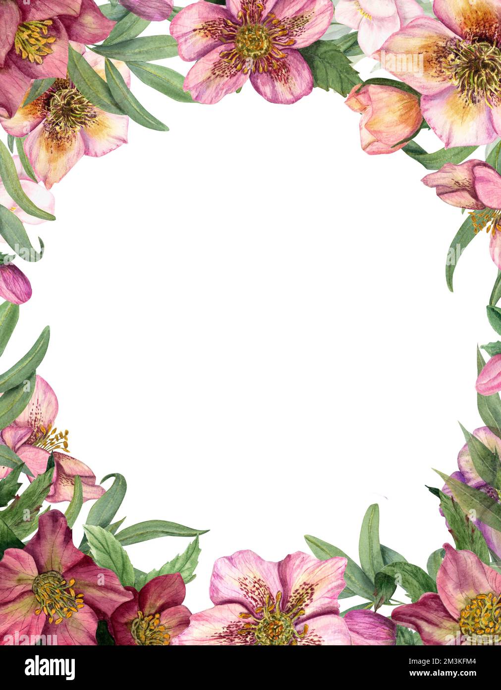 Vertical floral frame with watercolor hellebores isolated on white ...