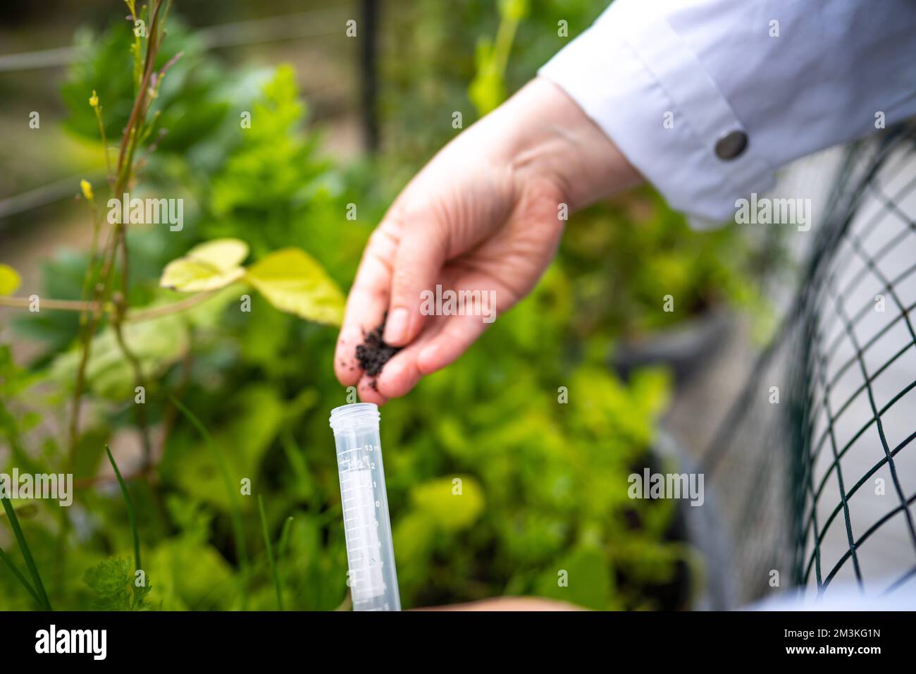 female scientist student in a university. studying plant science doing ...