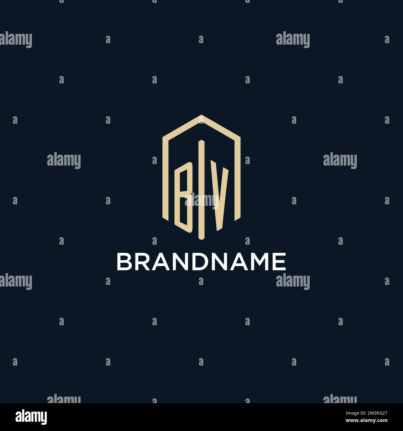 BV initial monogram logo with hexagonal shape style, real estate logo ...