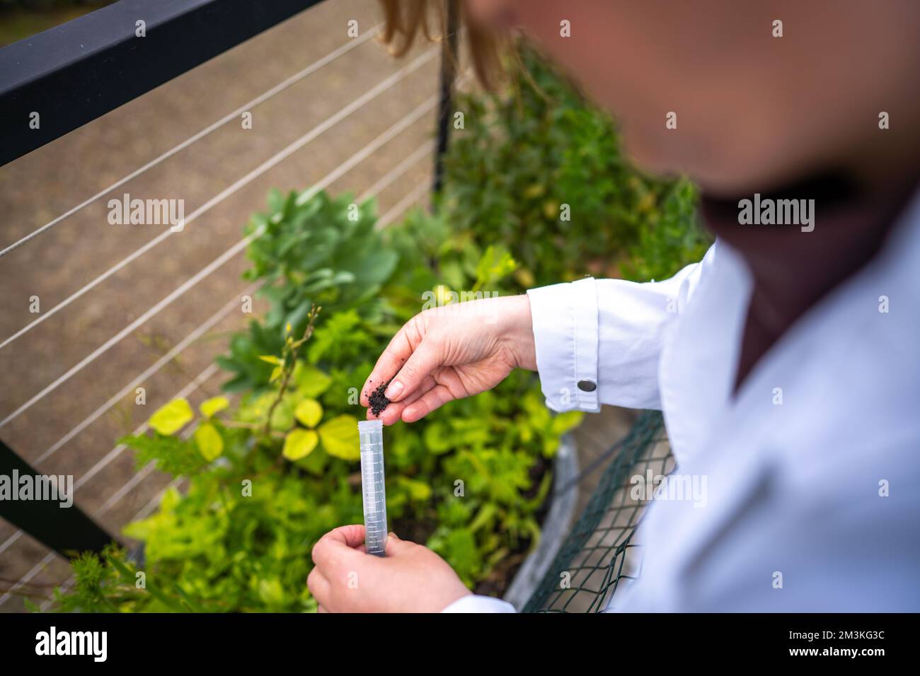 female farmer scientist researching plants and agricultural research in ...