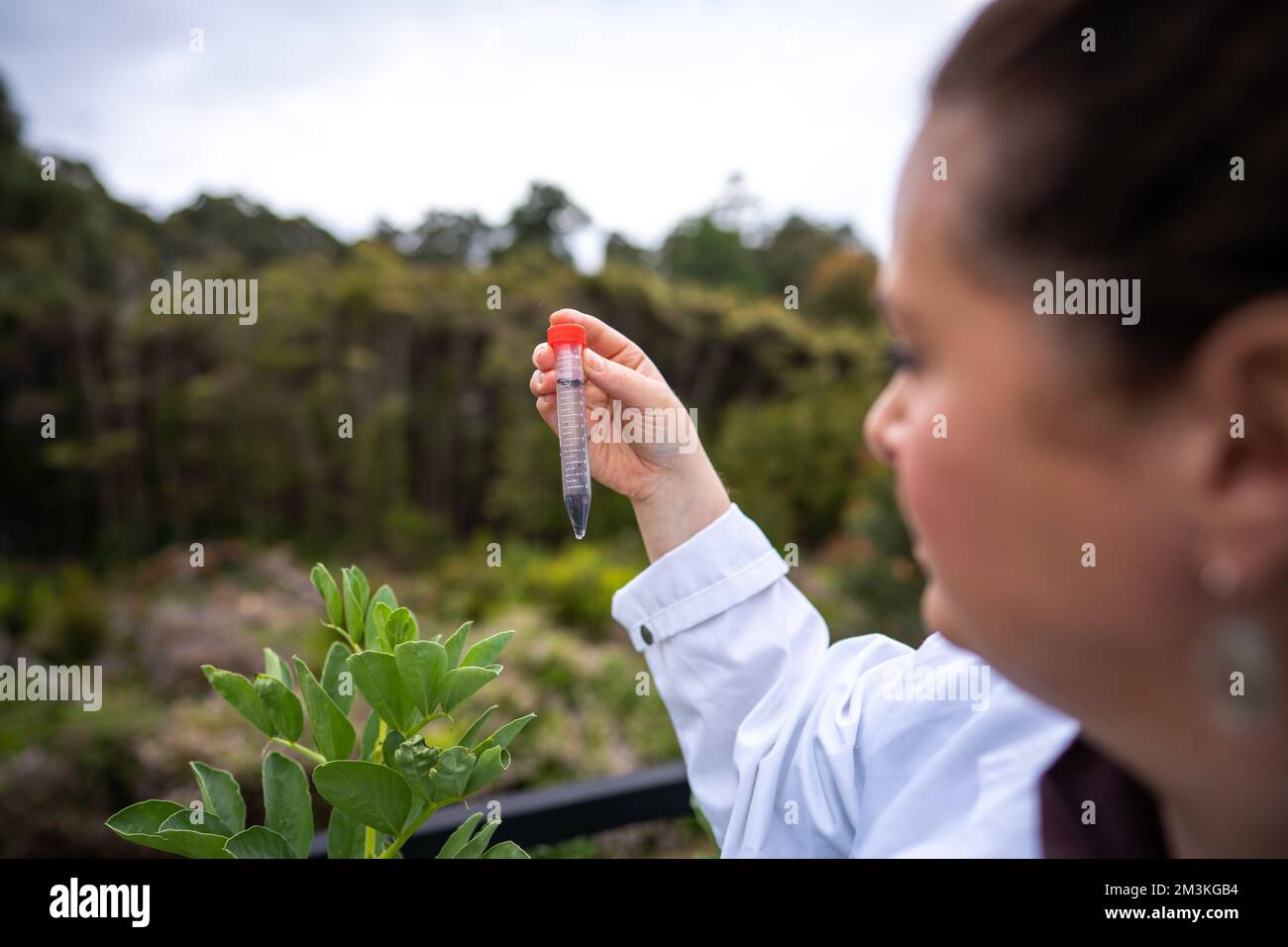 Australian agriculture research hi-res stock photography and images - Alamy