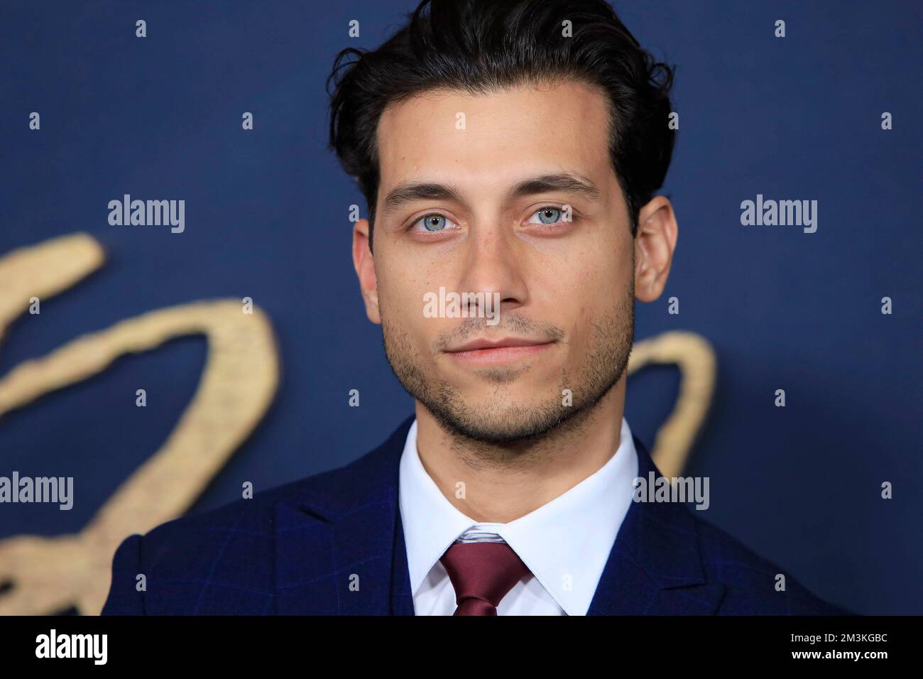 December 14, 2022, Los Angeles, California, USA: LOS ANGELES - DEC 14 ...