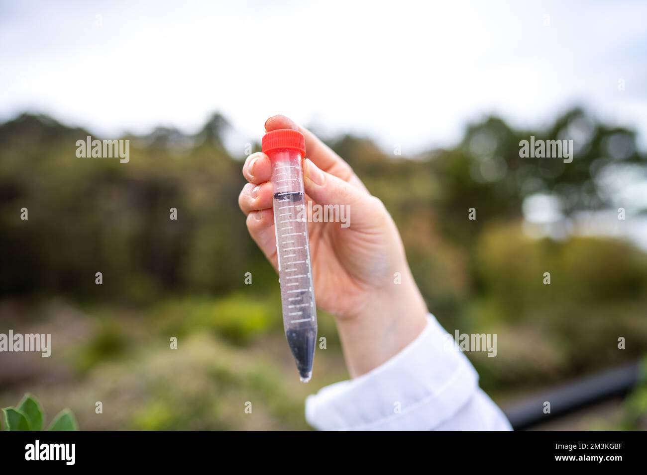 female scientist studying agricultural research. woman farmer breeding ...