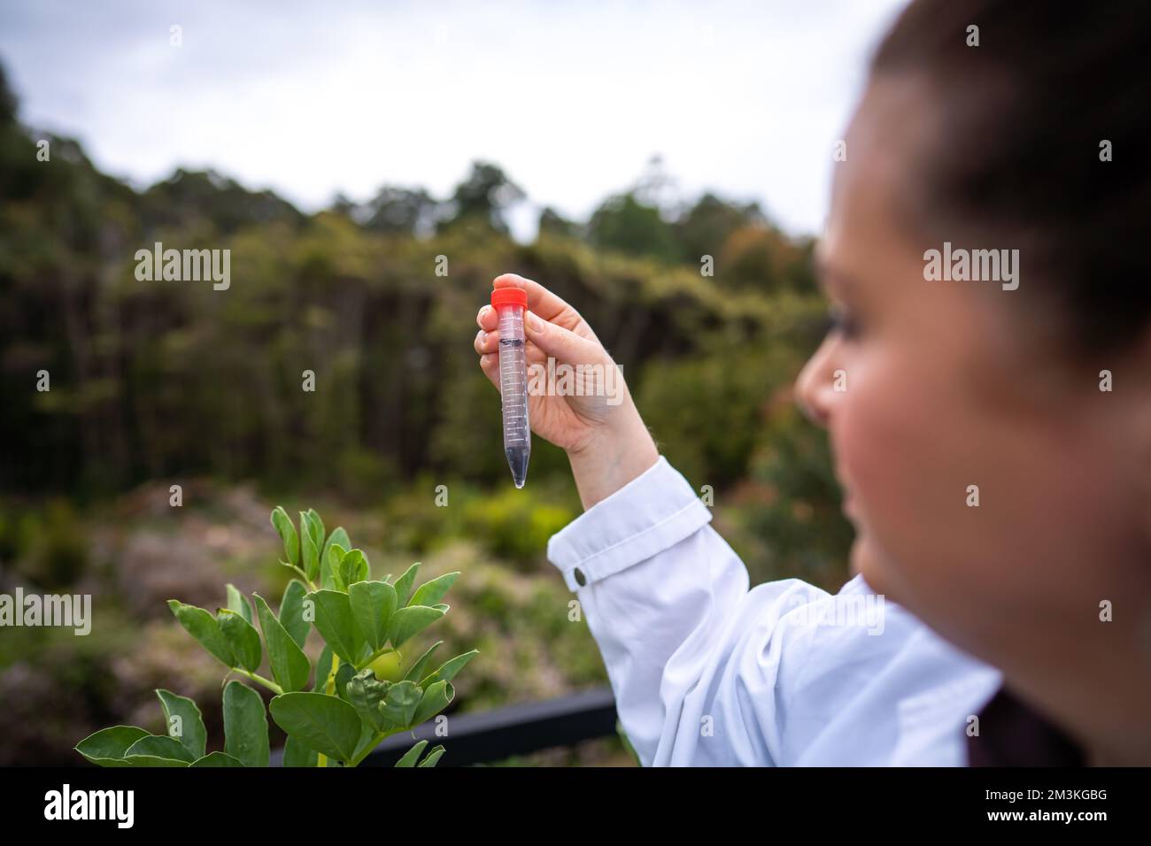 Girl student doing experiments hi-res stock photography and images - Alamy