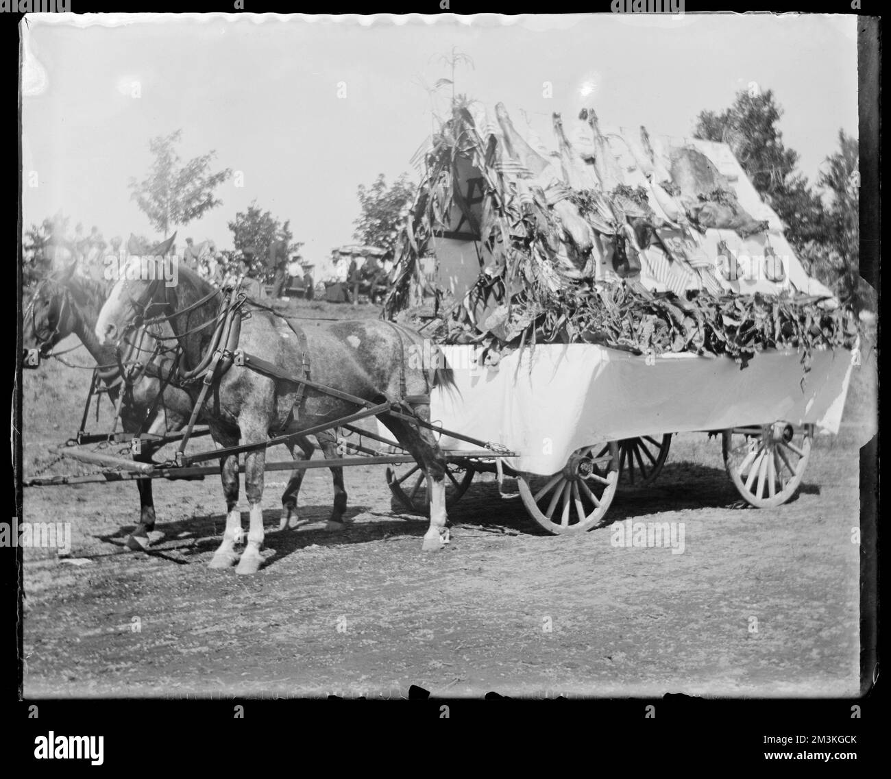 Parade wagon pulled by horses , Floats Parades, Parades & processions ...