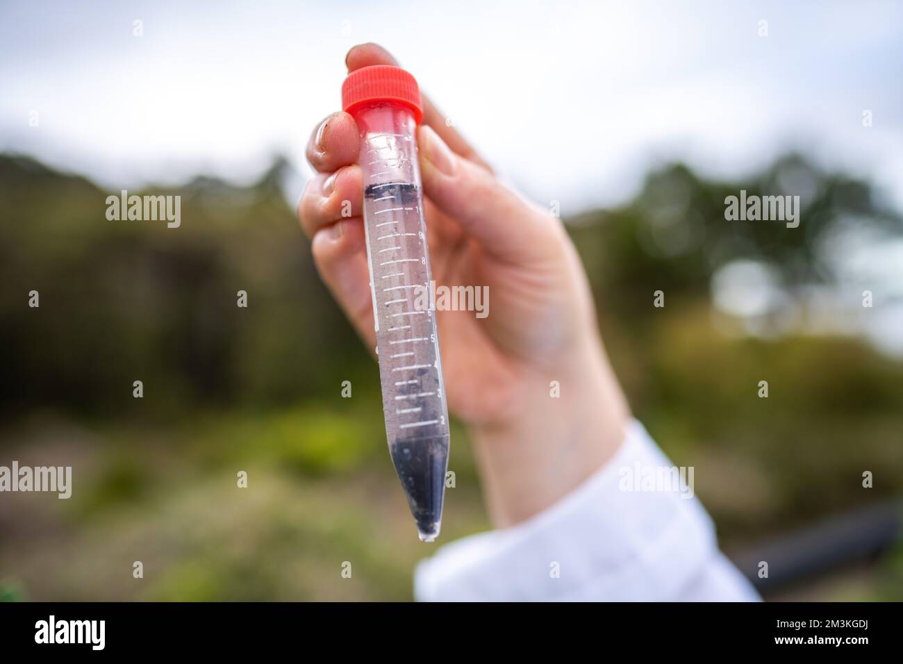 female scientist studying agricultural research. woman farmer breeding ...