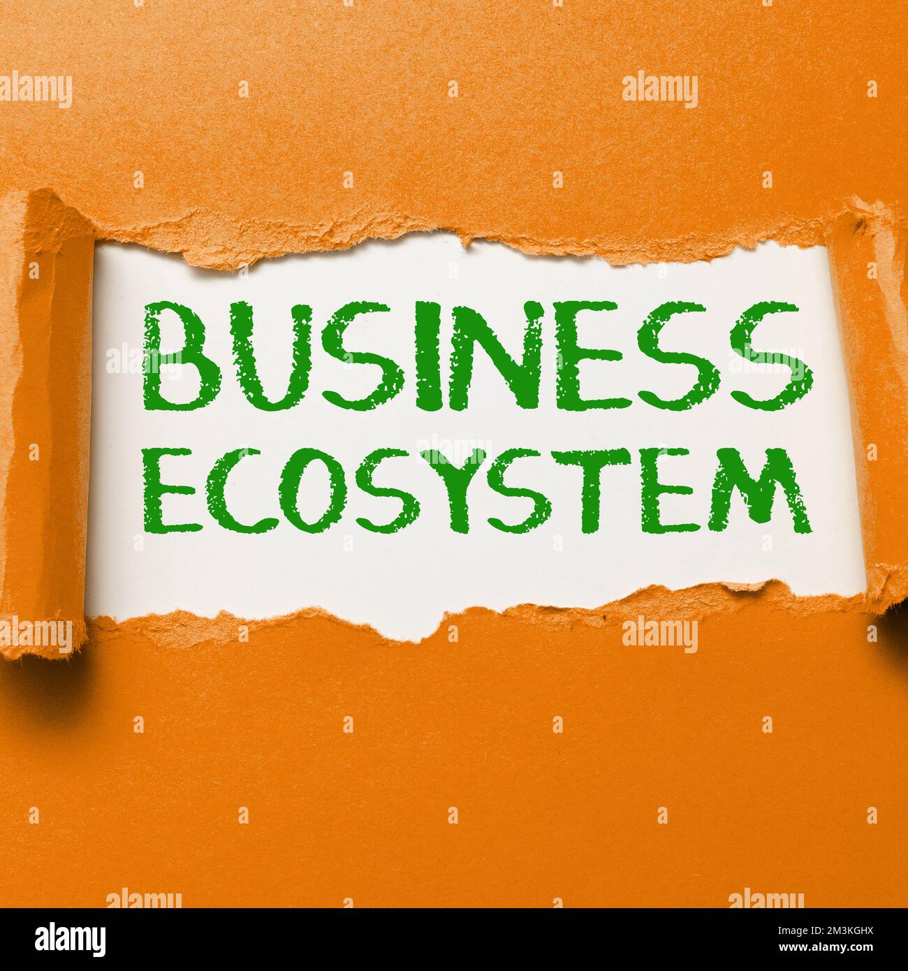 Conceptual caption Business Ecosystem. Business idea Develop and ...