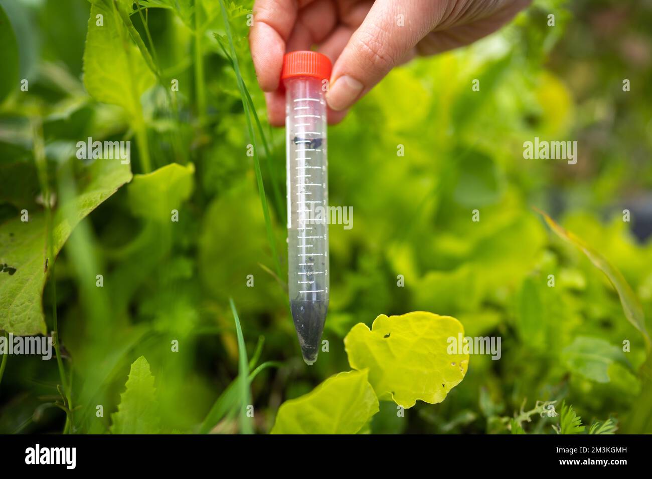 female scientist student in a university. studying plant science doing ...