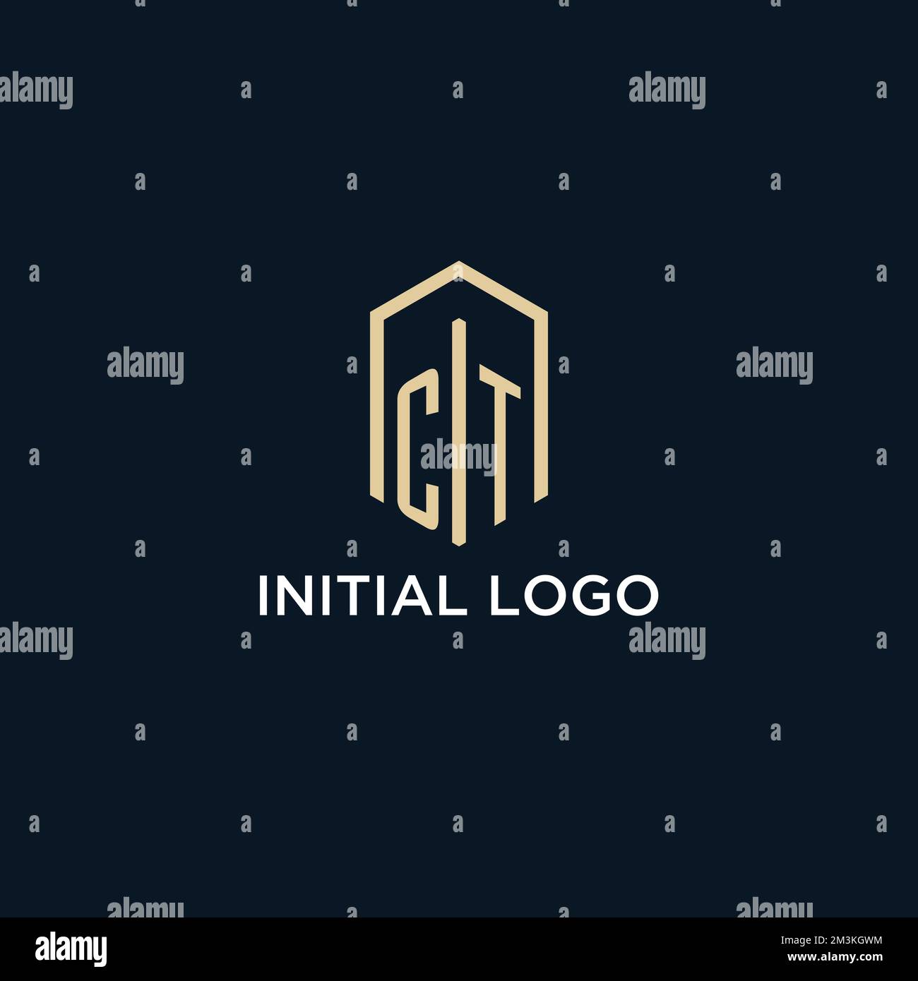 CT initial monogram logo with hexagonal shape style, real estate logo ...