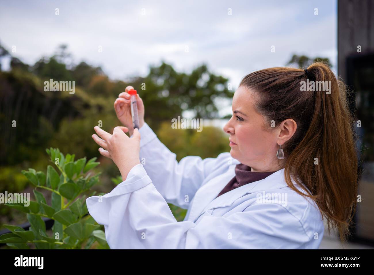 Australian agriculture research hi-res stock photography and images - Alamy