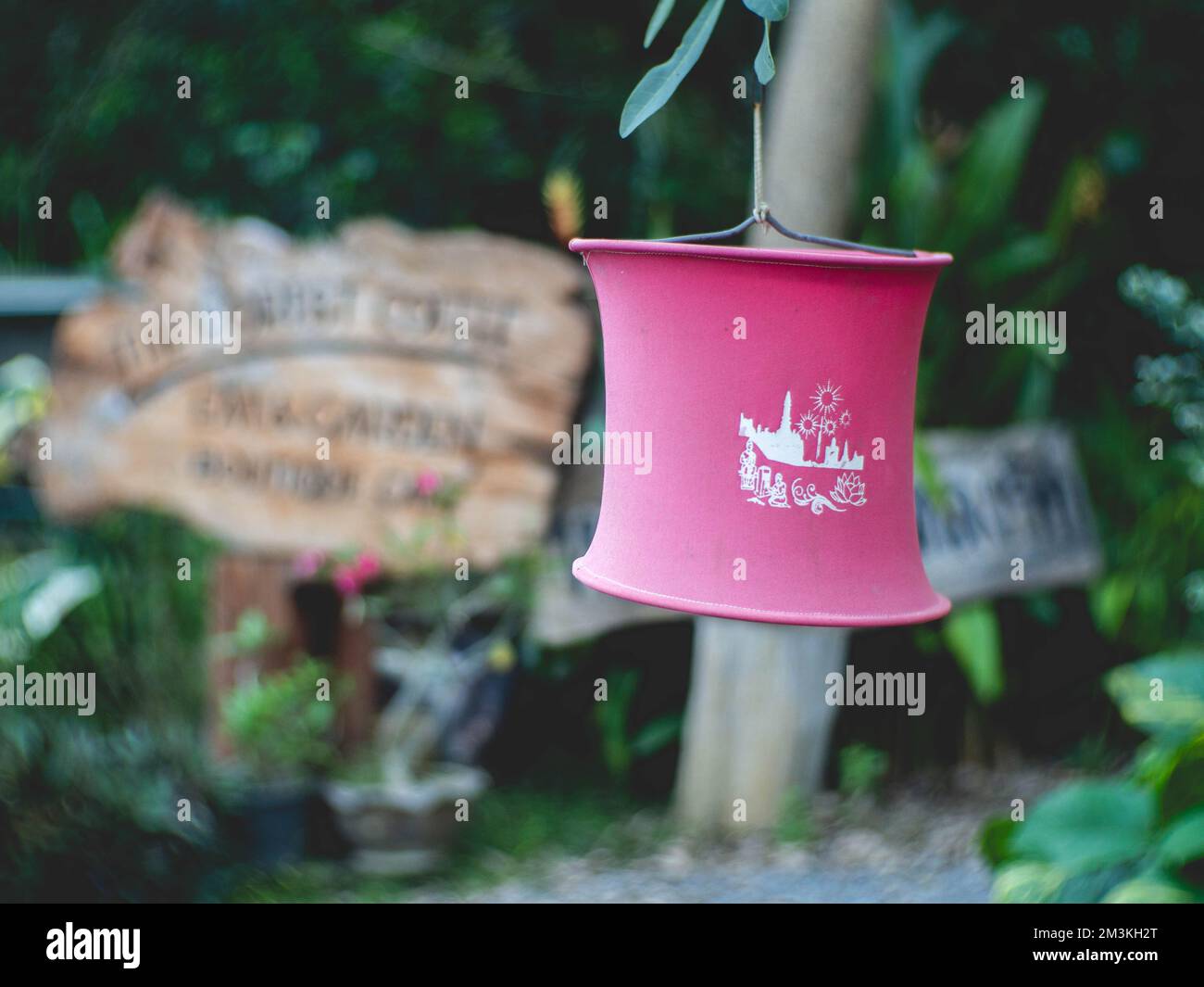 Pink lantern hanging from the tree Stock Photo - Alamy