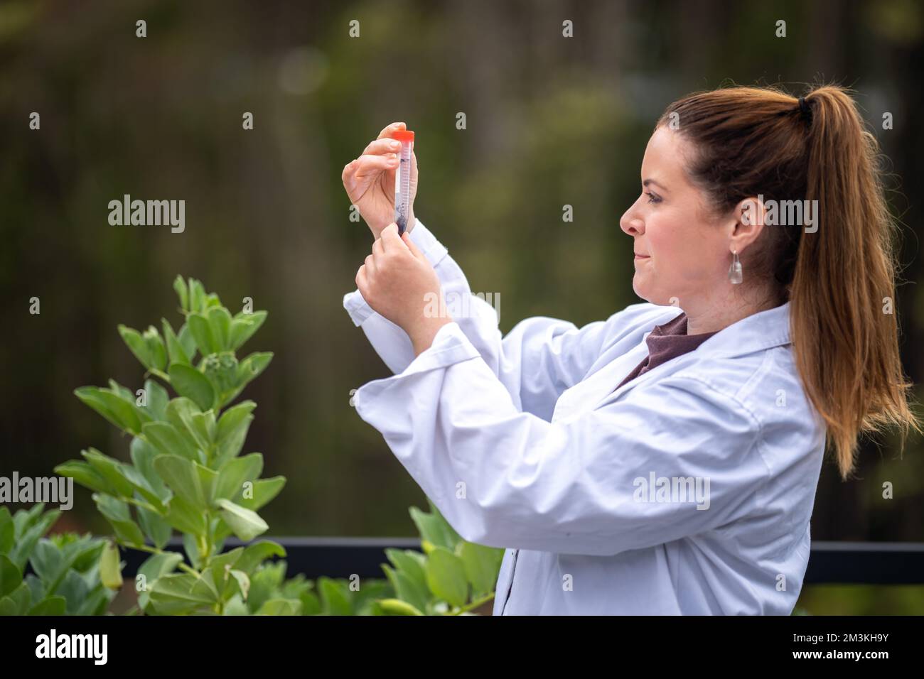 Australian agriculture research hi-res stock photography and images - Alamy