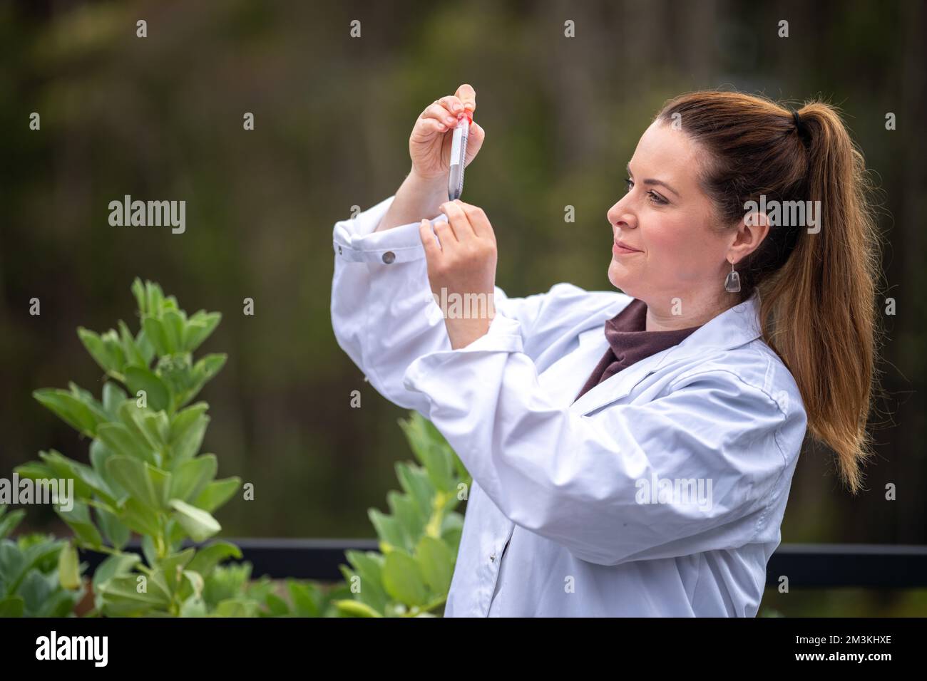 female scientist student in a university. studying plant science doing ...