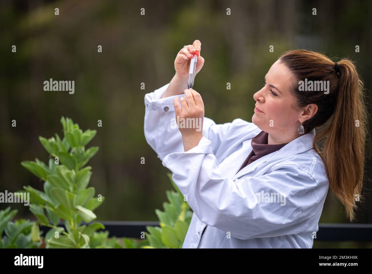 Australian agriculture research hi-res stock photography and images - Alamy