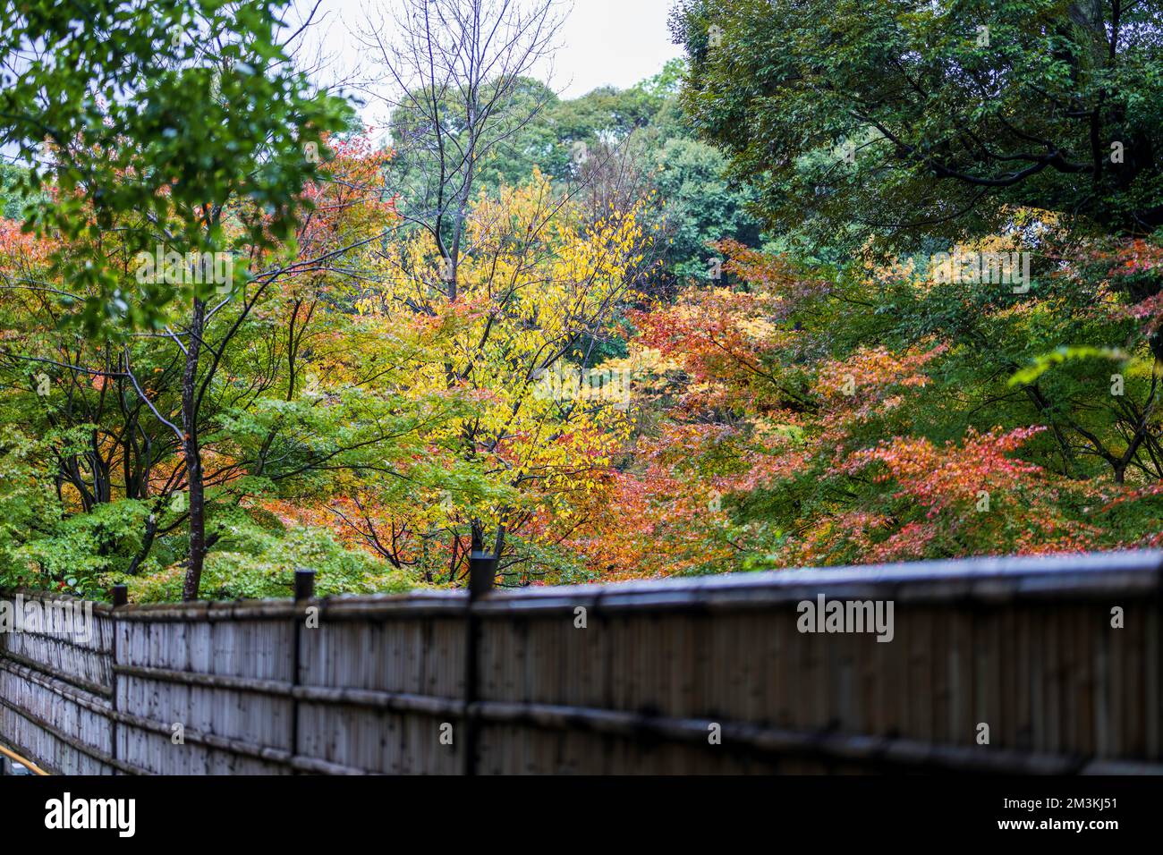 Autumn at Tokugawa Garden, Nagoya, Japan Stock Photo - Alamy