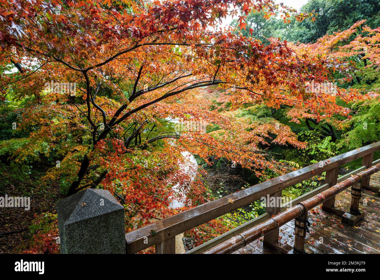 Autumn at Tokugawa Garden, Nagoya, Japan Stock Photo - Alamy
