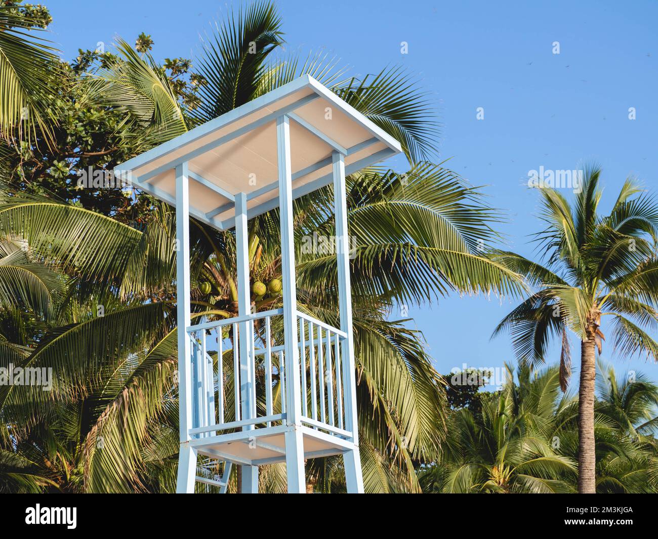 Coastal Observation Tower and Coconut Tree Stock Photo - Alamy