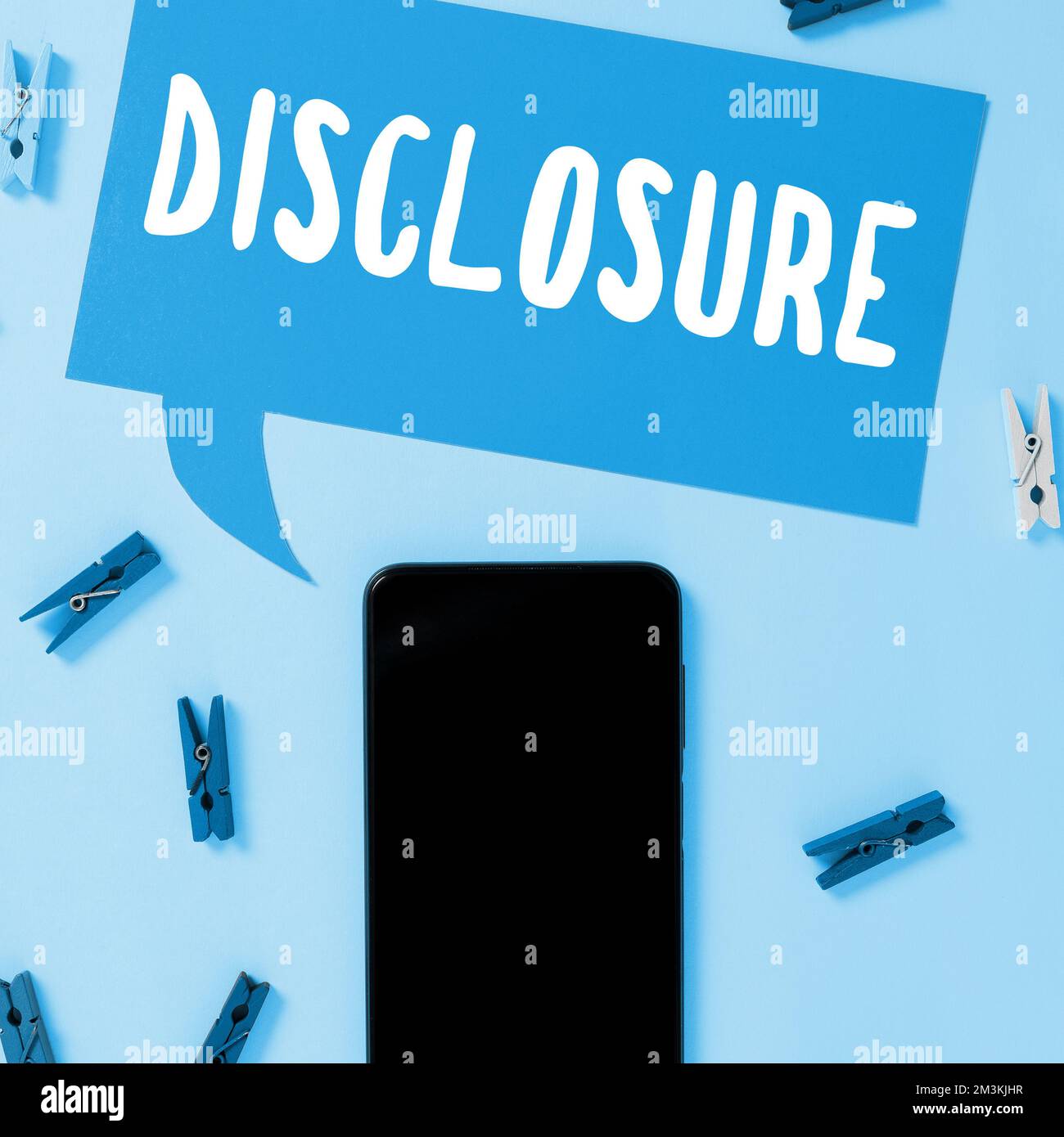 Conceptual display Disclosure. Business overview The action of making ...