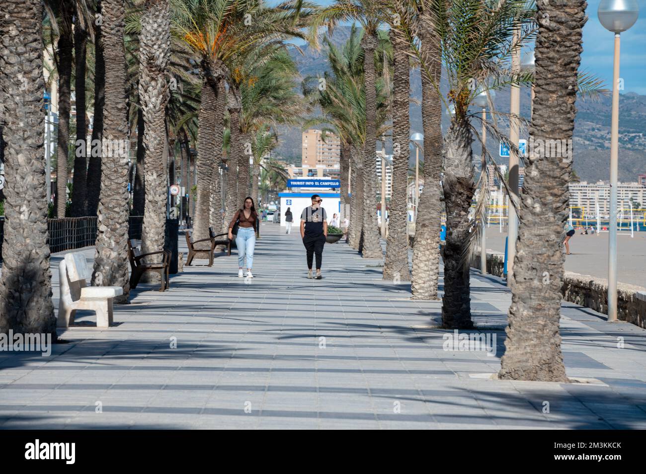 Alicante, Spain : 2022 November 17 : People walking along the Paseo ...