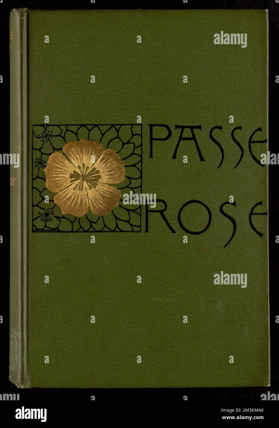 Passe rose hi-res stock photography and images - Alamy