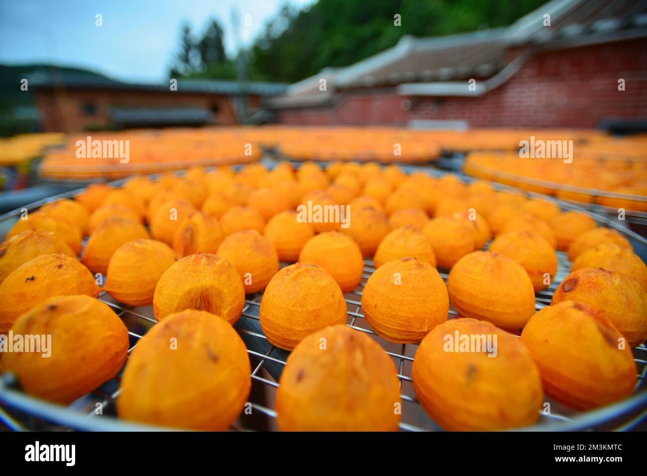 Dried persimmons hi-res stock photography and images - Alamy