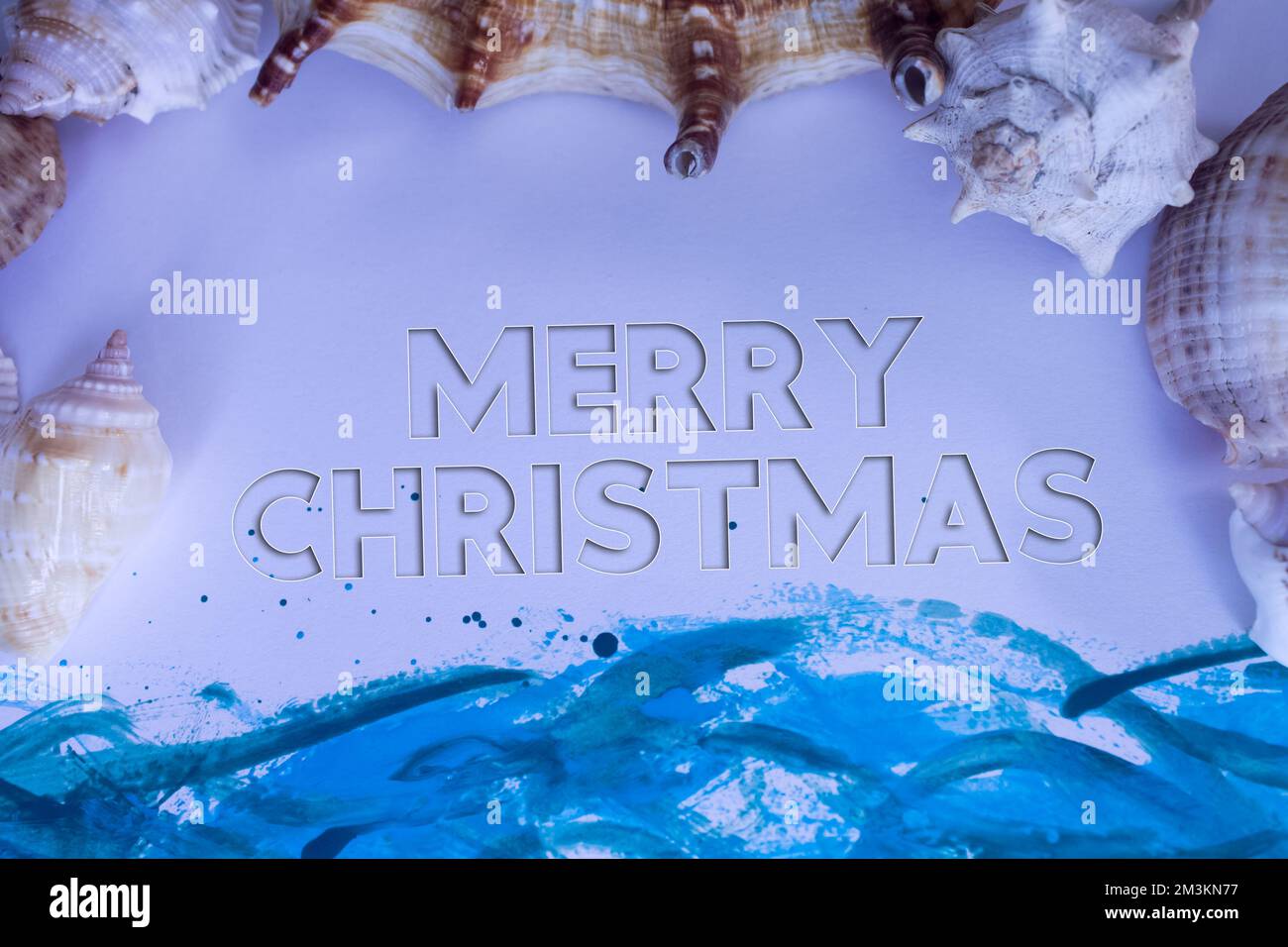 Animal Shell, Summer vacation, marine background with Merry Christmas ...