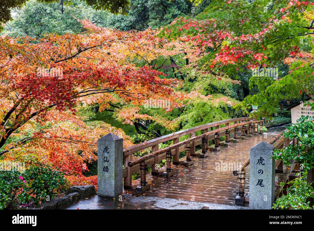 Autumn at Tokugawa Garden, Nagoya, Japan Stock Photo - Alamy