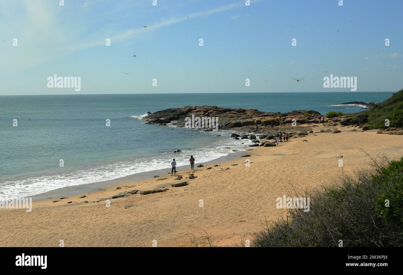 Pulmude hi-res stock photography and images - Alamy