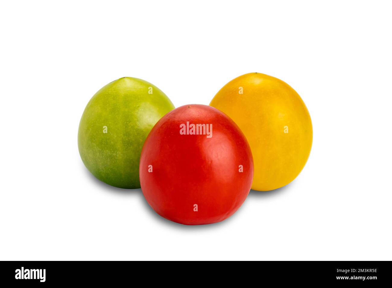 Side view multi colored freshly harvested organic cherry tomatoes ...