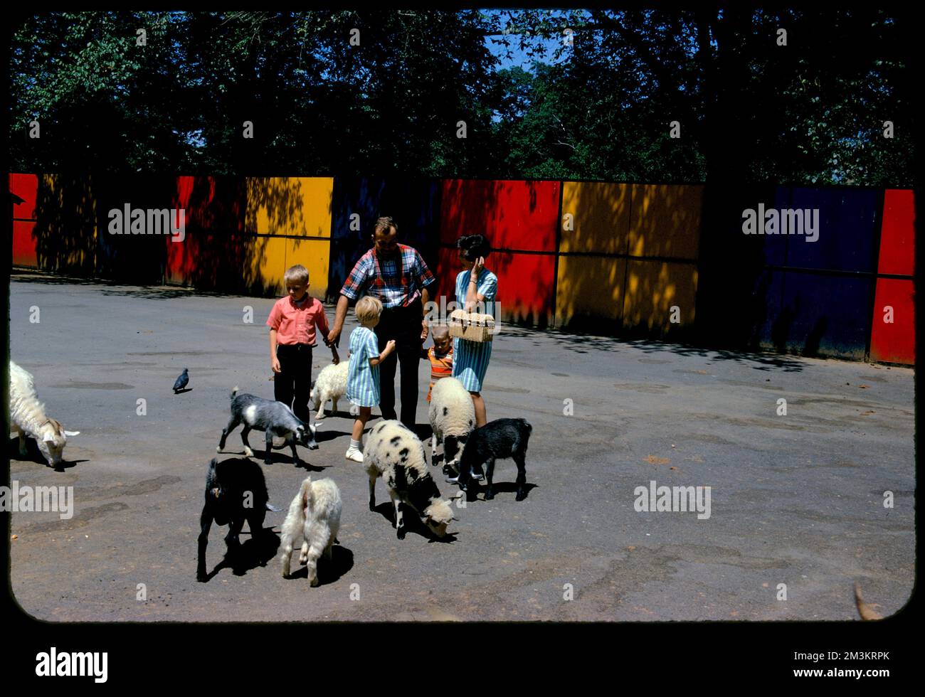 People and goats in a zoo , Goats, Zoos, Zoo animals. Edmund L ...