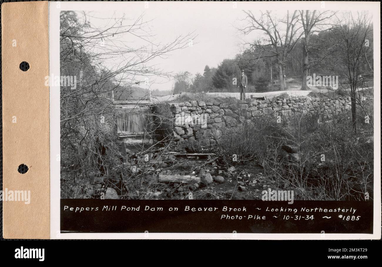 Evelyn dam hi-res stock photography and images - Alamy