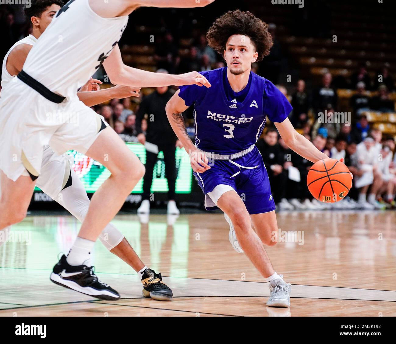 North alabama lions mens basketball hi-res stock photography and images ...