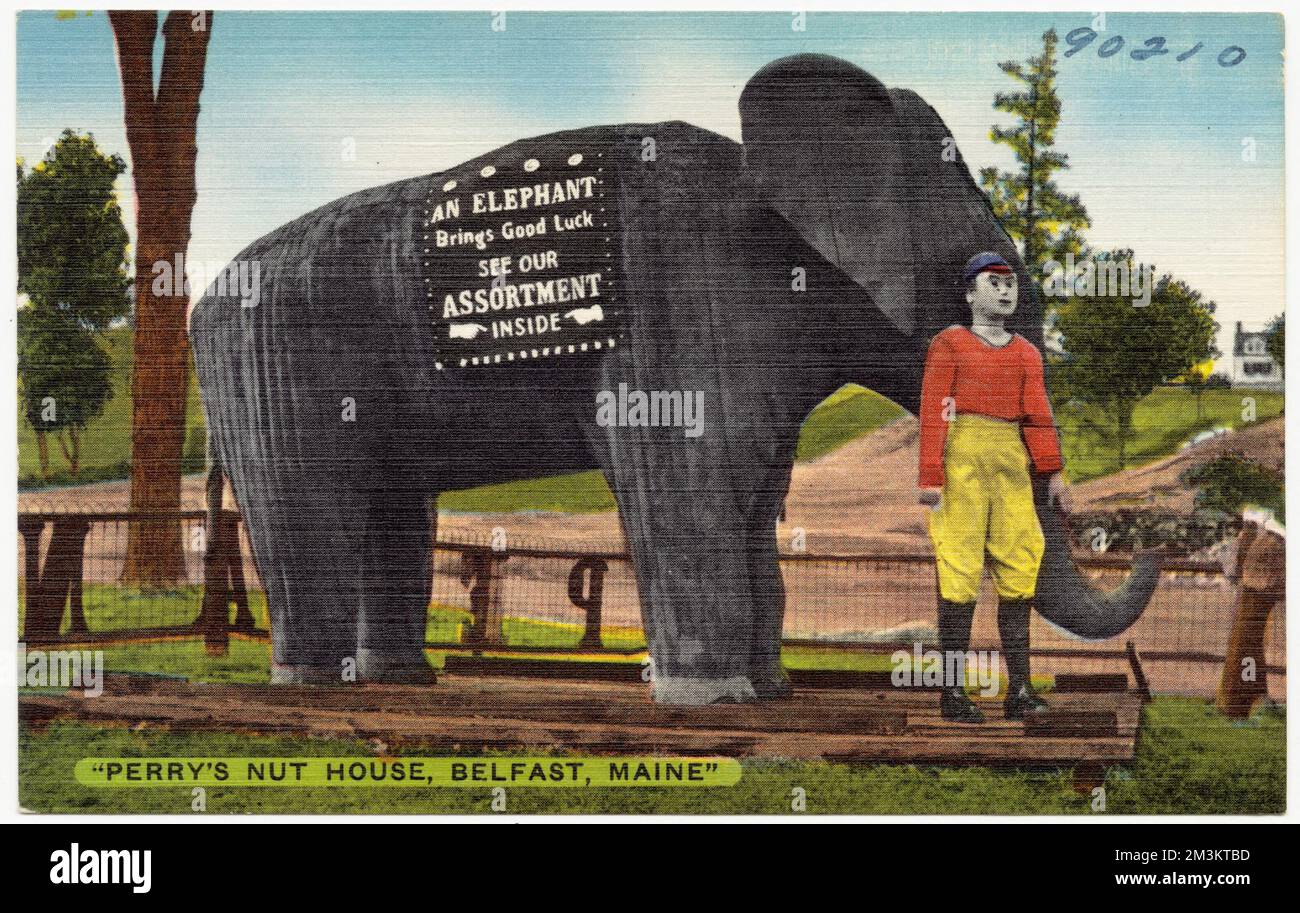 'Perry's Nut House, Belfast, Maine' -- an elephant brings good luck ...