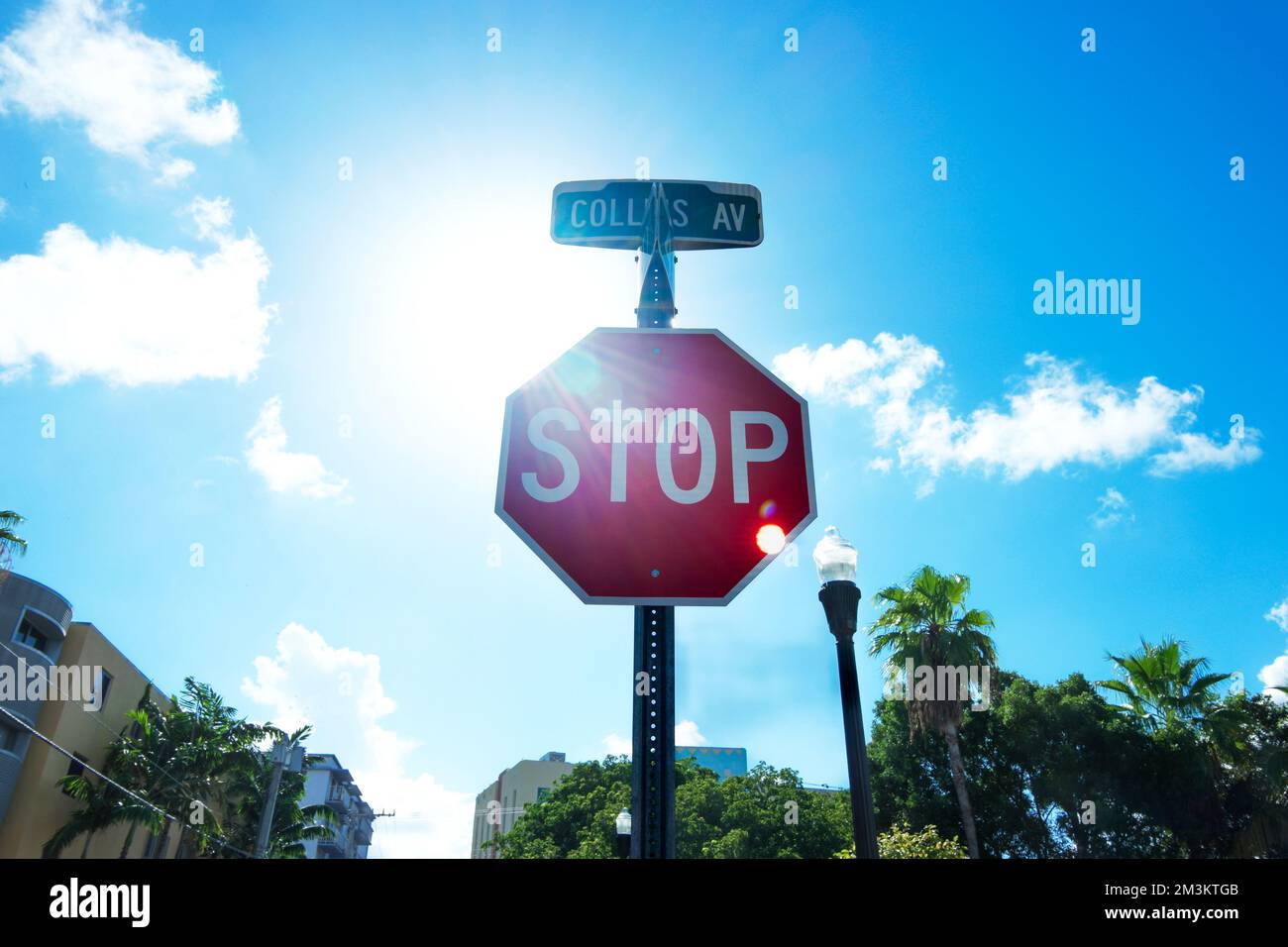 stop sign with trees in the background and some sky collins ave Stock ...
