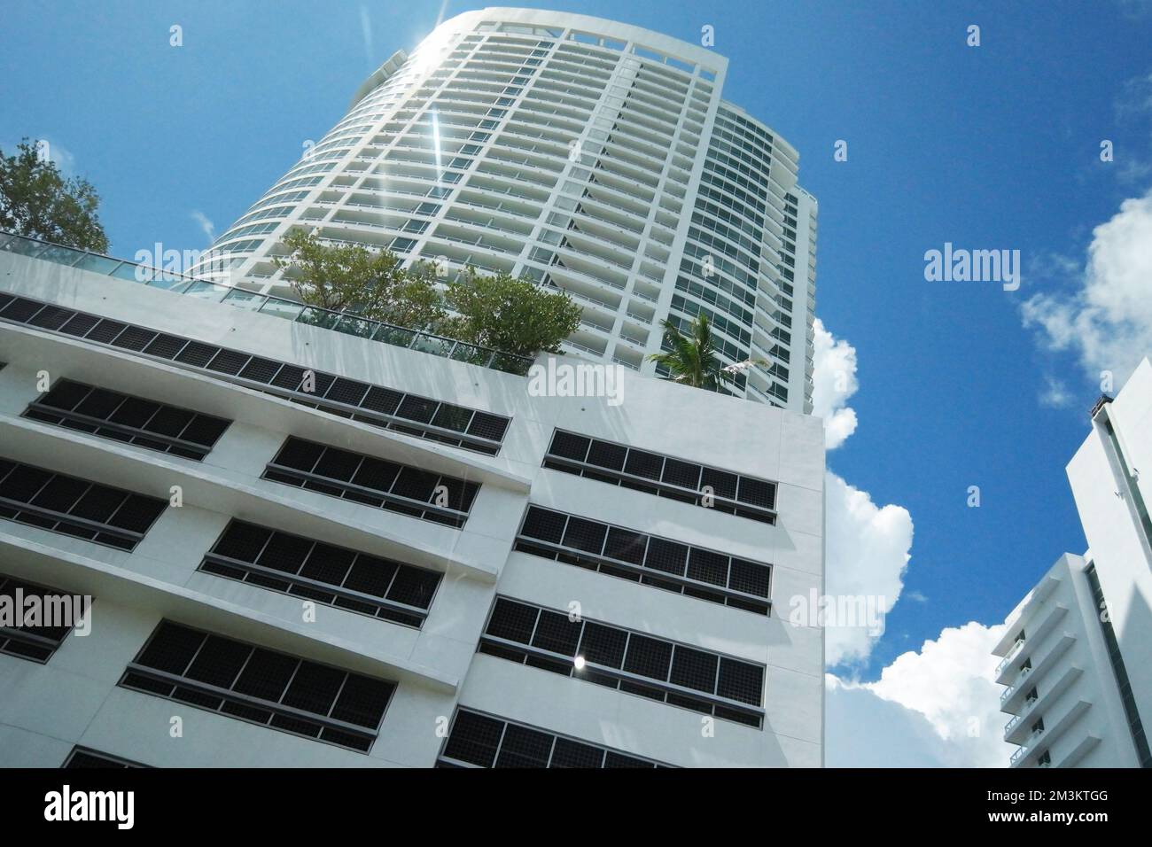 White building green tree or trees hi-res stock photography and images ...