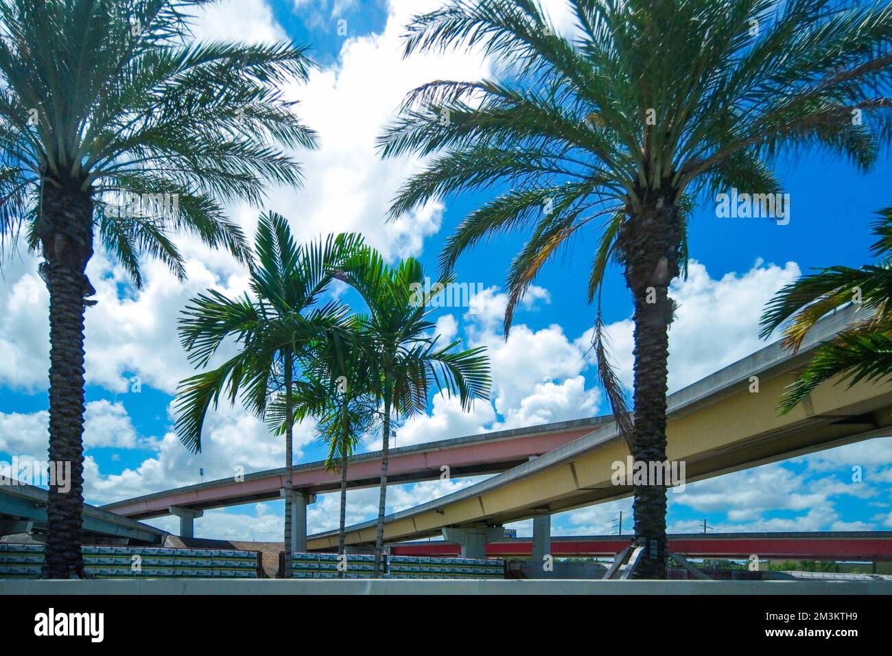 palm trees and interconnected roads bright blue skies and clouds Stock ...