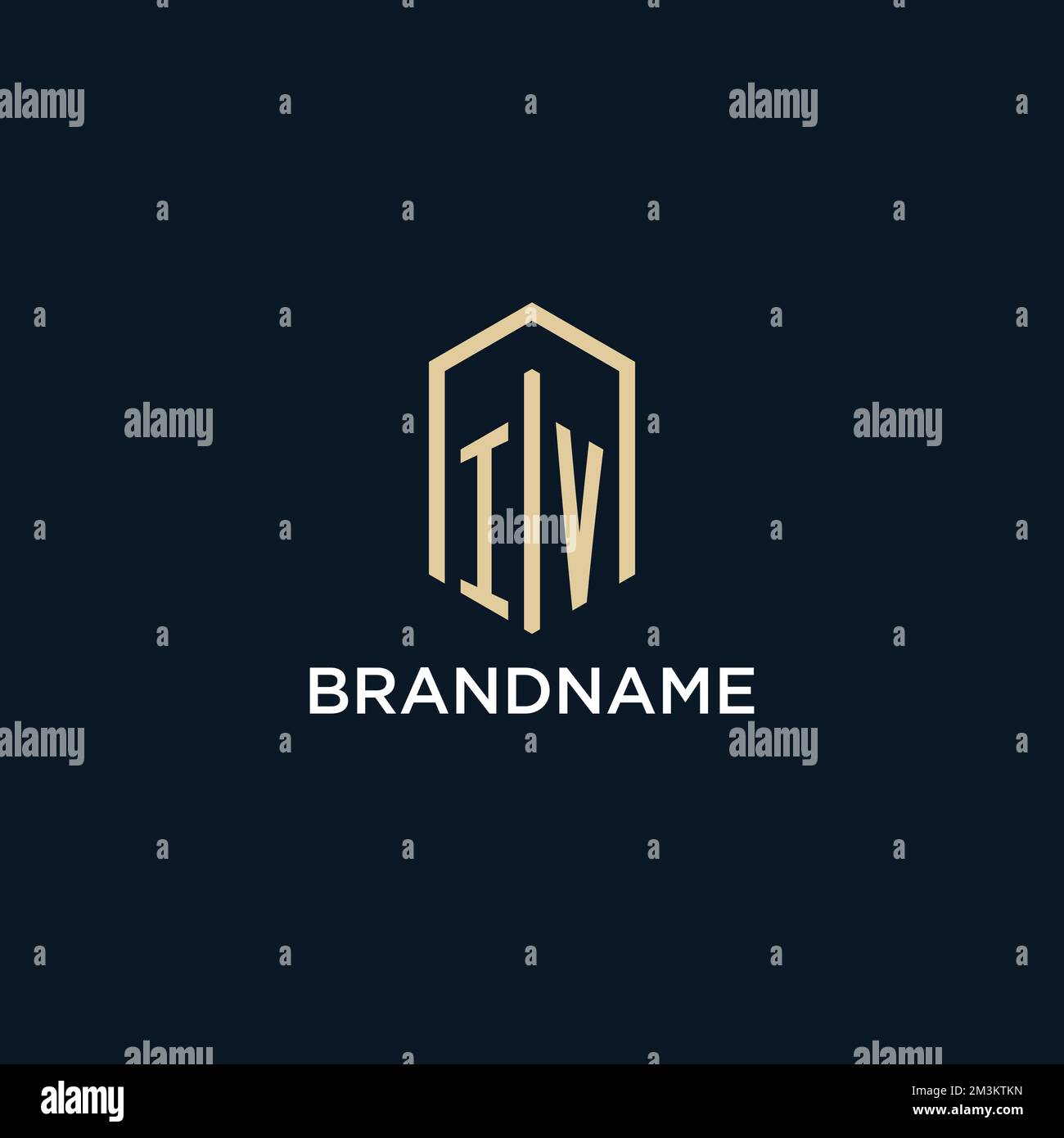 IV initial monogram logo with hexagonal shape style, real estate logo ...