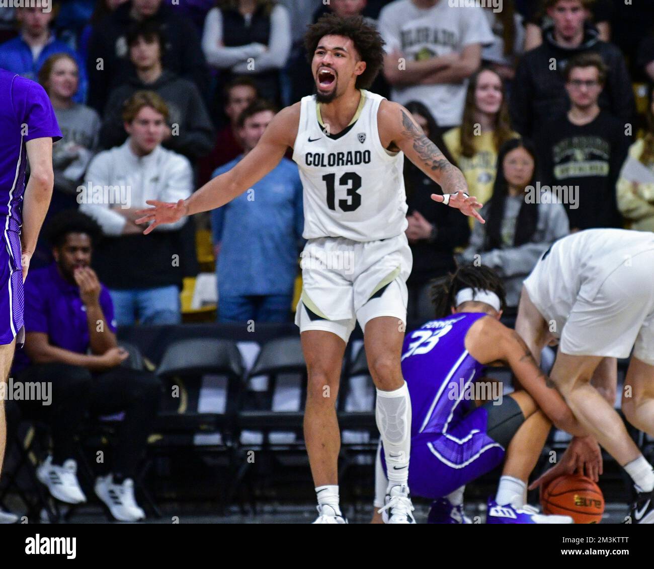 20221215 hi-res stock photography and images - Alamy