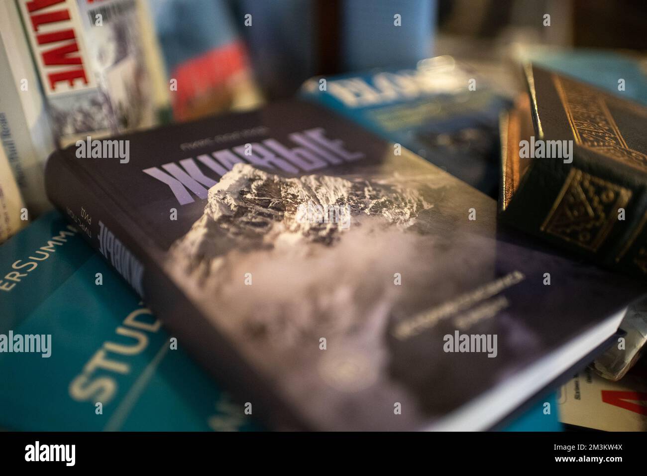 Montevideo, Uruguay. 15th Nov, 2022. A translation of the book "Alive ...