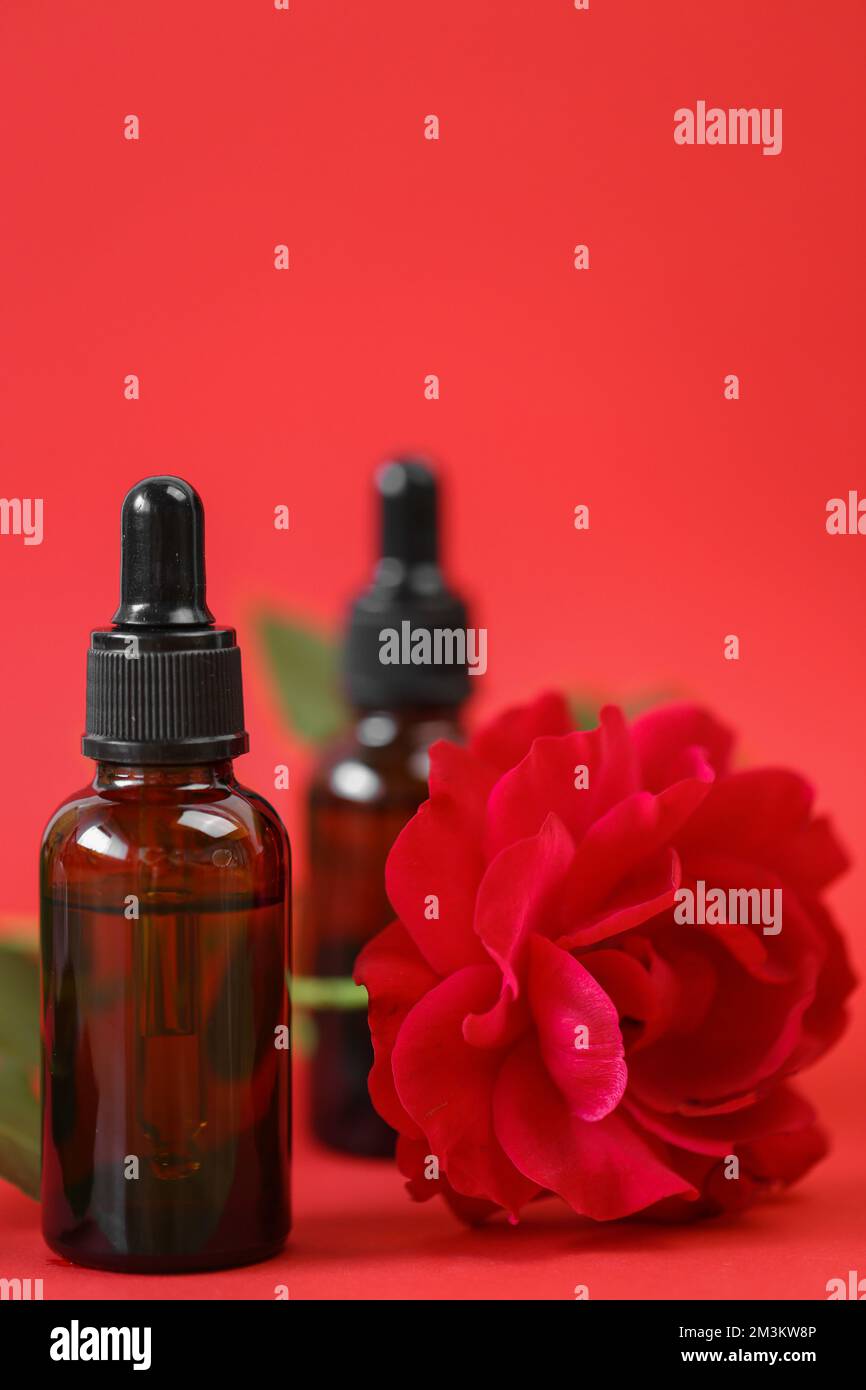 Rose essential oil in brown glass bottles set and red rose on red ...