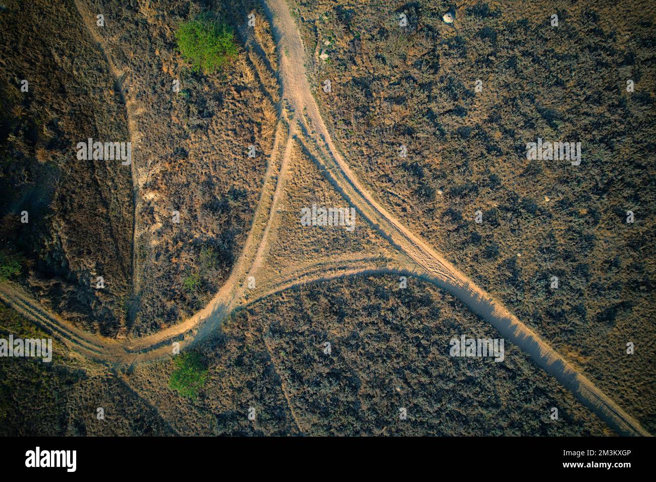 An aerial view of roads surrounded by dense trees Stock Photo - Alamy