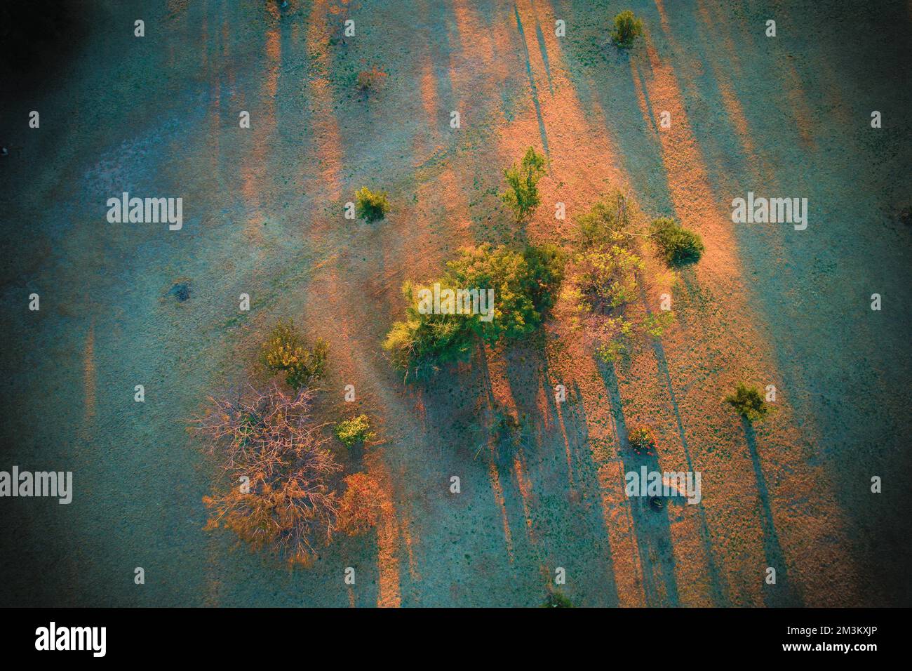 Aerial view vegetation trees hi-res stock photography and images - Alamy