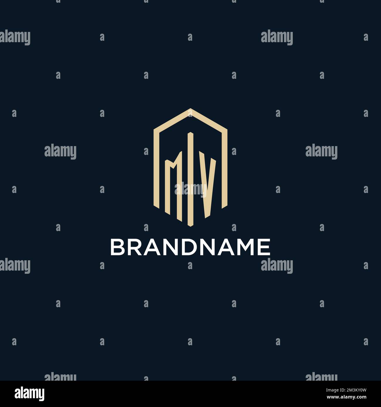 MV initial monogram logo with hexagonal shape style, real estate logo ...