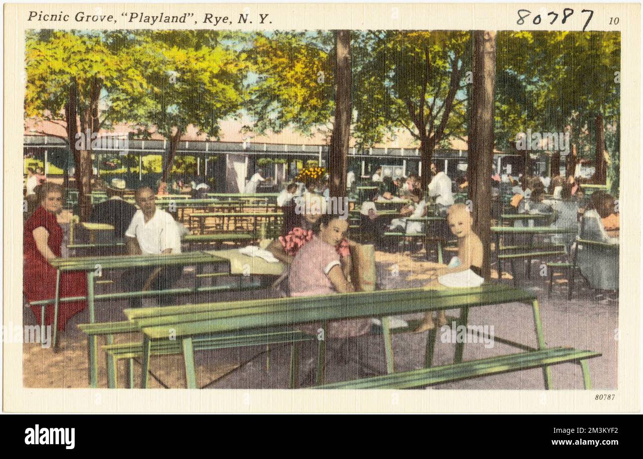 Picnic grove, 'Playland', Rye, N. Y. , Sports & recreation facilities ...